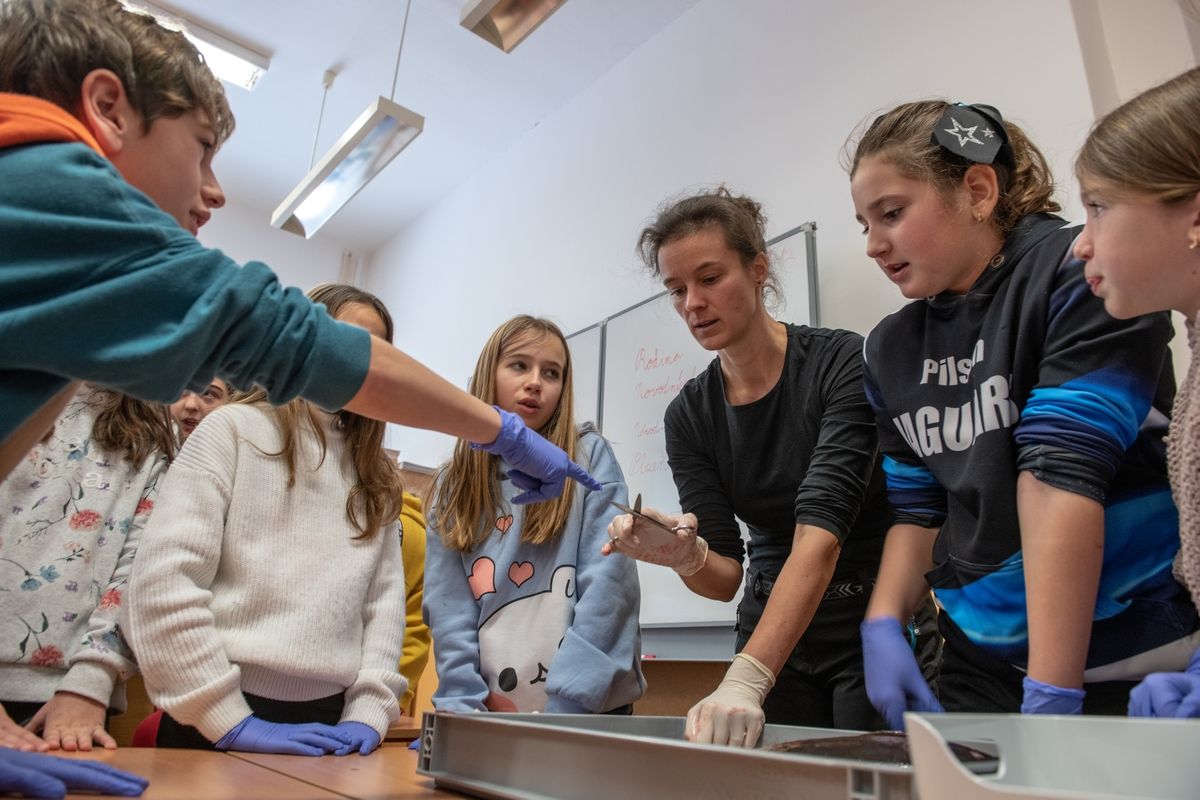 2022/2023 Pitva kapra 5. třída (cz) | Základní škola Plzeň-Újezd